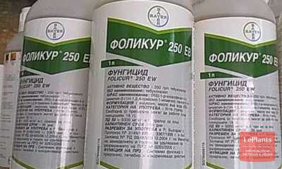Особенности фунгицида Фоликур | Описание в деталях на LePlants.ru